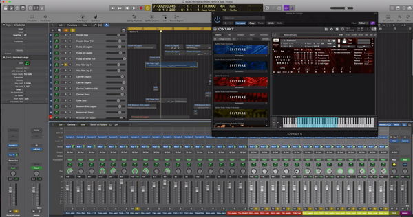 Spitfire Studio Woodwinds Professional - Spitfire Audio